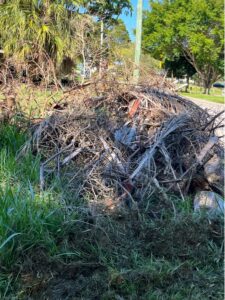 TC Alfred Recovery Effort